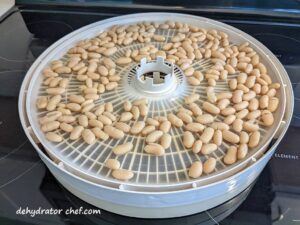 How to Dehydrate Canned Beans – Dehydrating Canned Beans, A Step-by ...