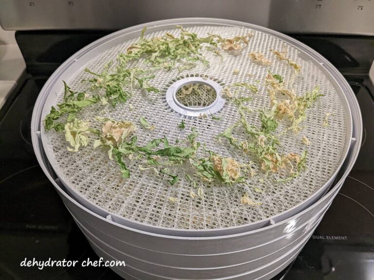 How to Dehydrate Cabbage – Dehydrating Cabbage, A Step-by-Step Guide ...