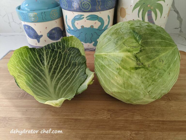 How to Dehydrate Cabbage – Dehydrating Cabbage, A Step-by-Step Guide ...