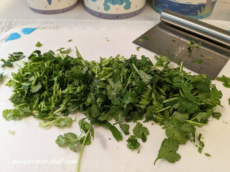 How to Dehydrate Cilantro – Dehydrating Cilantro, A Step-by-Step Guide ...