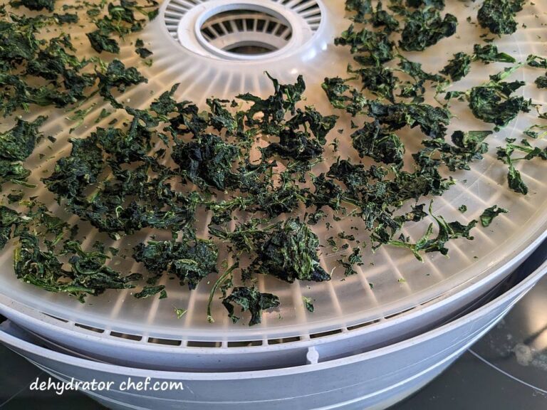 How to Dehydrate Frozen Spinach – Dehydrating Frozen Spinach, A Step-by ...