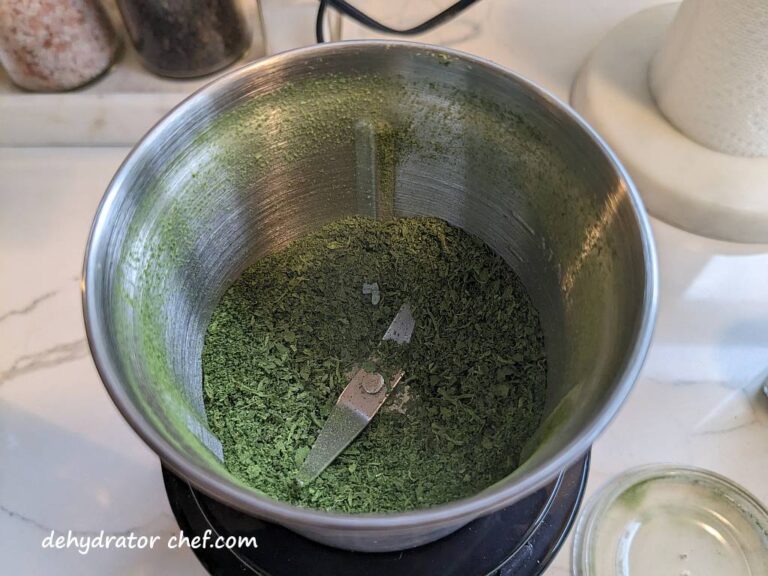 How to Dehydrate Cilantro – Dehydrating Cilantro, A Step-by-Step Guide ...