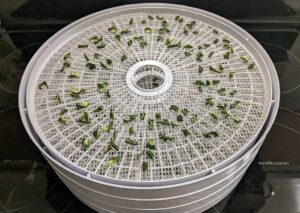 How to Dehydrate Bell Peppers – Dehydrating Bell Peppers, A Step-by ...