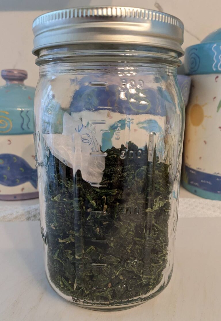 How to Dehydrate Frozen Spinach – Dehydrating Frozen Spinach, A Step-by ...