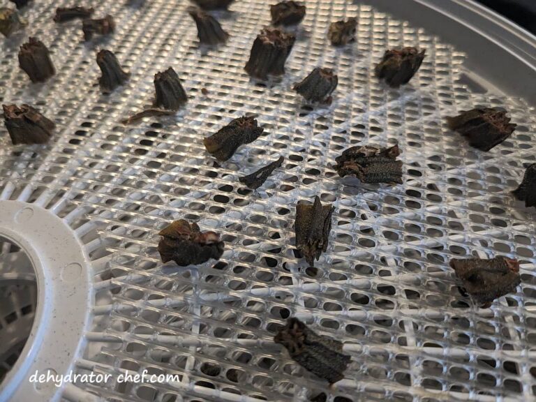 How to Dehydrate Okra – Dehydrating Okra, A Step-by-Step Guide ...