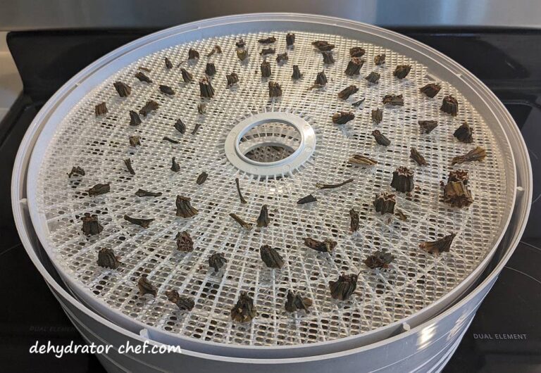 How to Dehydrate Okra – Dehydrating Okra, A Step-by-Step Guide ...